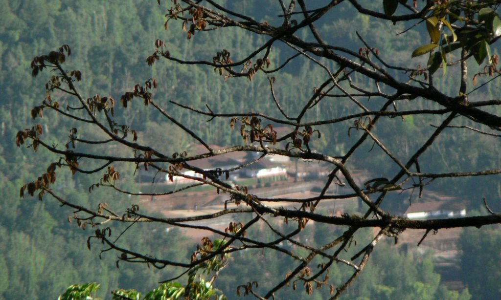 Tariff – Linger at Balur Estate